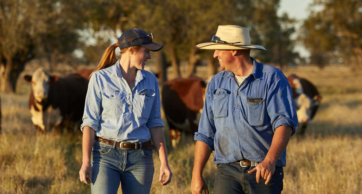Meat & Livestock Australia - serving red meat and livestock producers ...